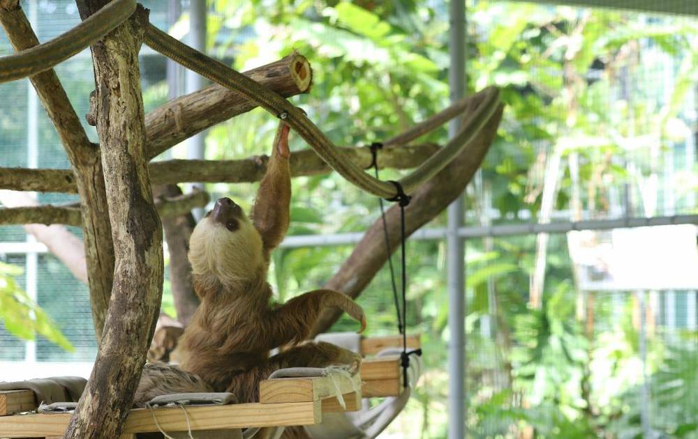El parque Summit cumplirá 100 años como guardián de la vida silvestre
