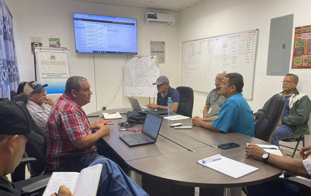 MIDA y productores establecen hoja de ruta para la producción de café ...