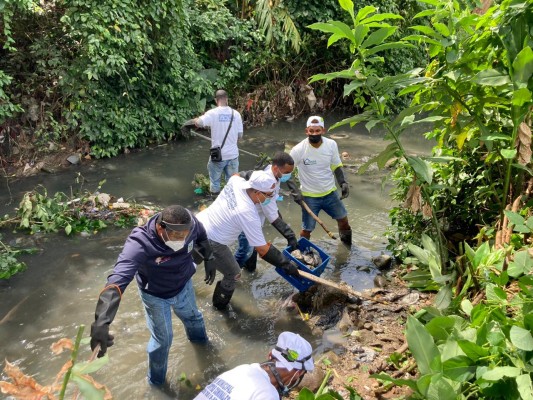 Limpian el río Palomo en Samaria, tras mortandad de peces
