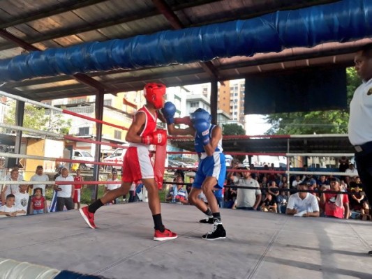 Boxeo aficionado apuesta a ligas provinciales y a los 'élites olímpicos'