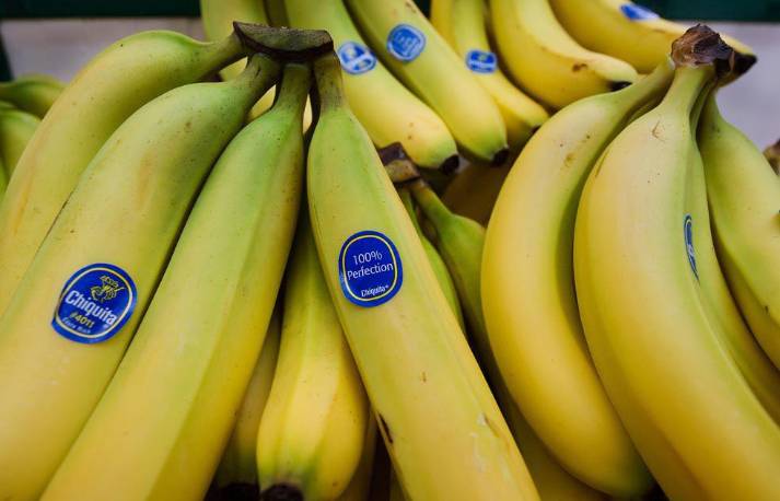 Chiquita Panamá exportará banano producido en Puerto Armuelles