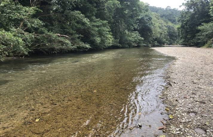Bomberos alertan sobre riesgos mortales por clavados desde rocas y alturas
