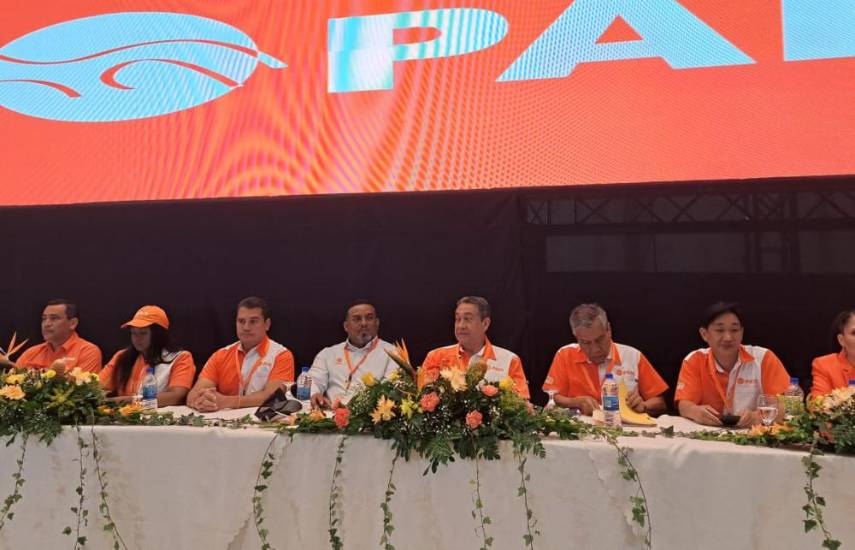 Partido PAIS proclamará a su candidato presidencial hoy