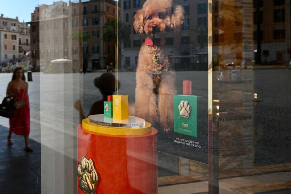 Lanzan un perfume para perros a más de $100