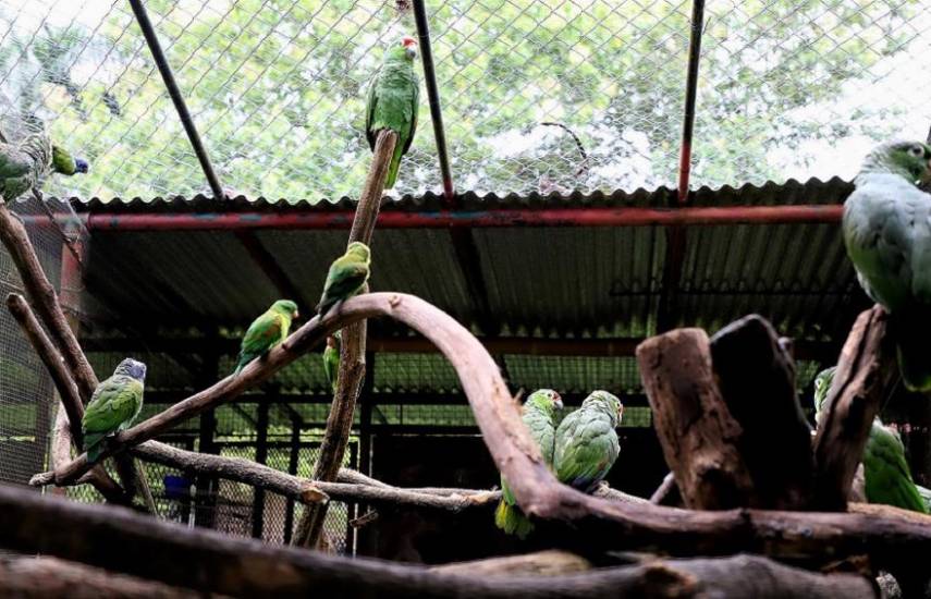 El parque Summit cumplirá 100 años como guardián de la vida silvestre