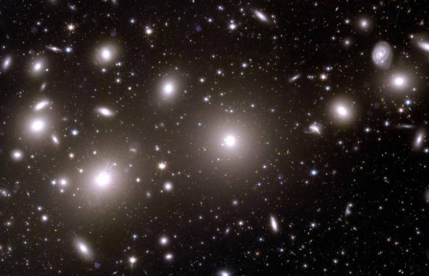 Primeras imágenes telescopio espacial Euclid revelan destellos del “zoológico galáctico”