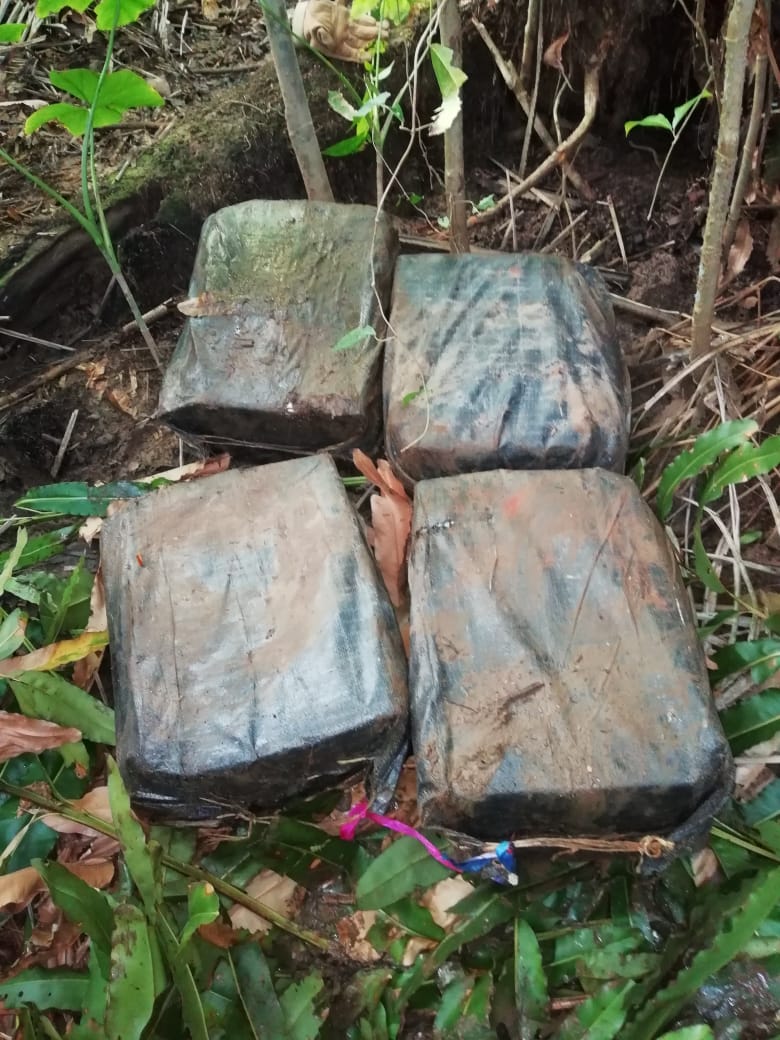 El Senan Incauta 100 Paquetes De Supuesta Droga