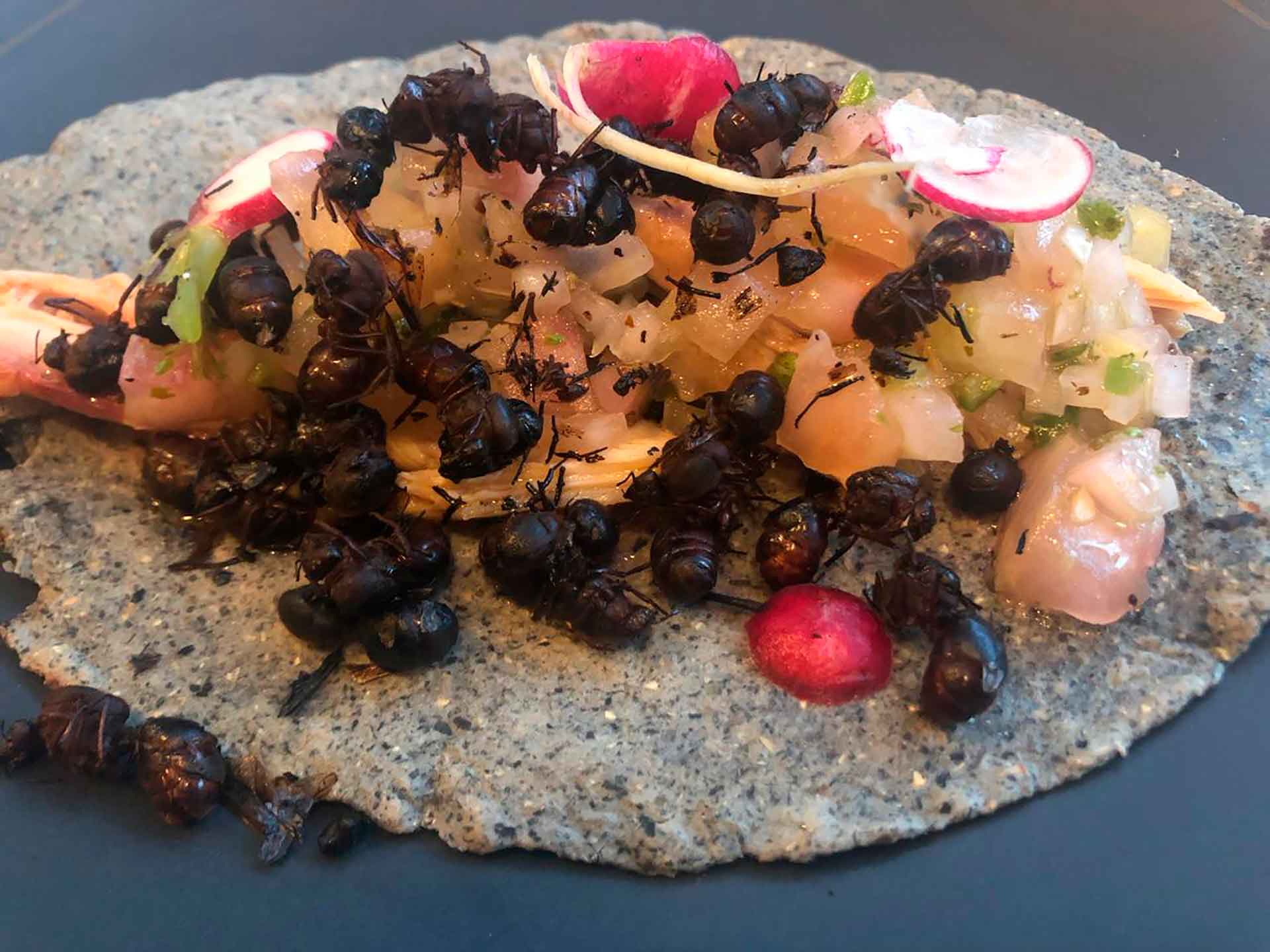 Sabores de la tierra