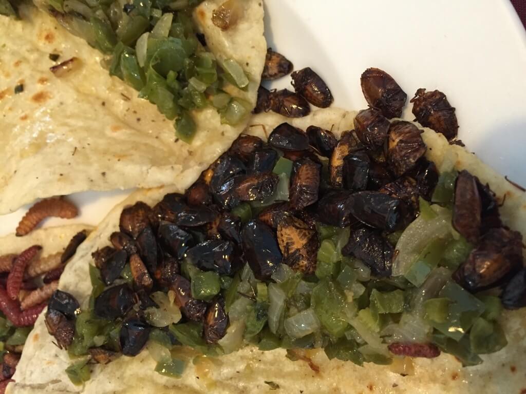 Sabores de la tierra